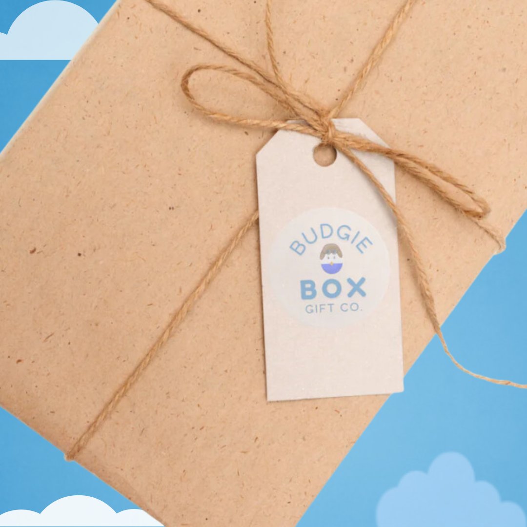 Shop All BudgieBoxes